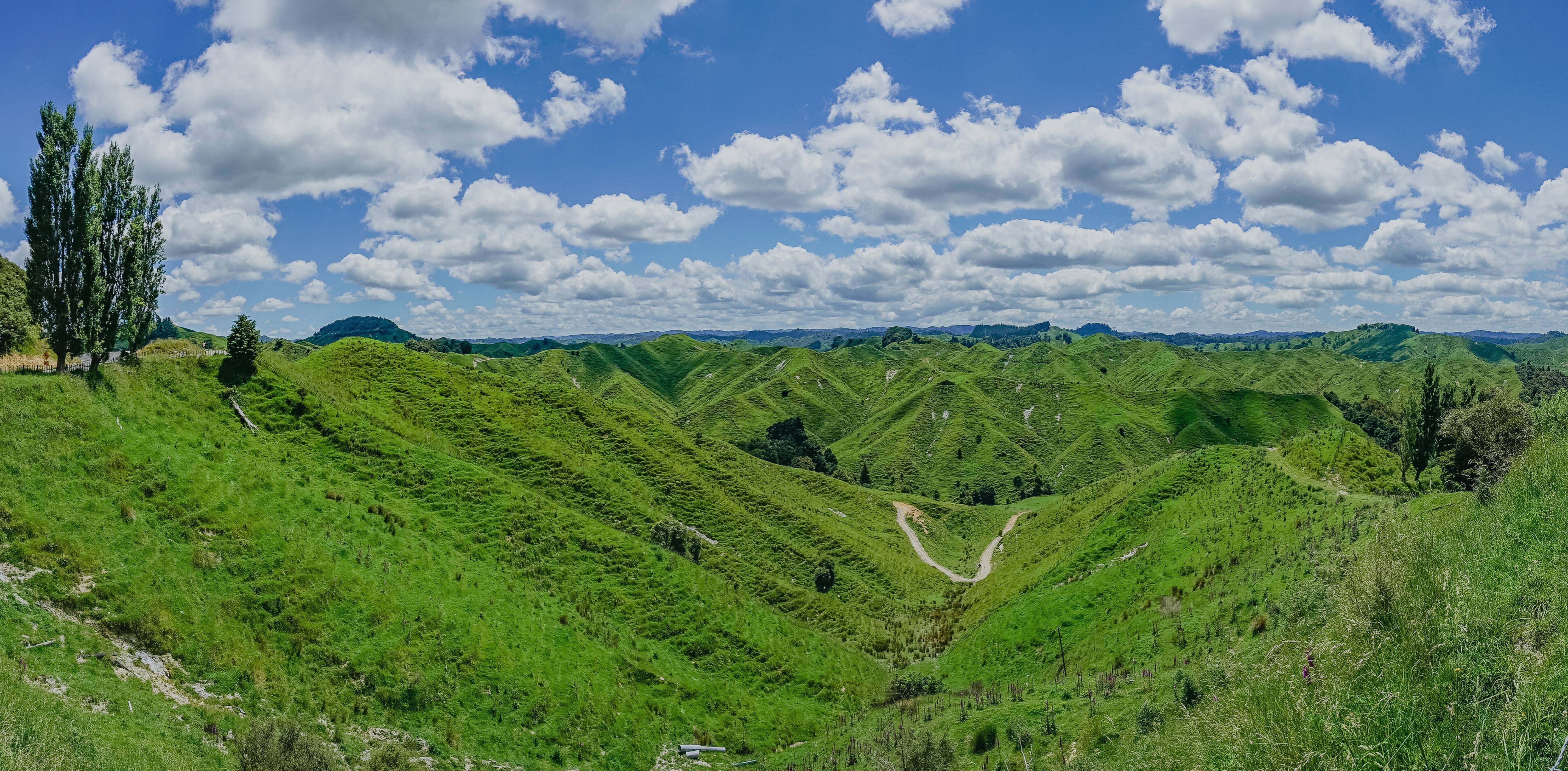 Discover some of the best-hidden gems of the North Island with travel ...